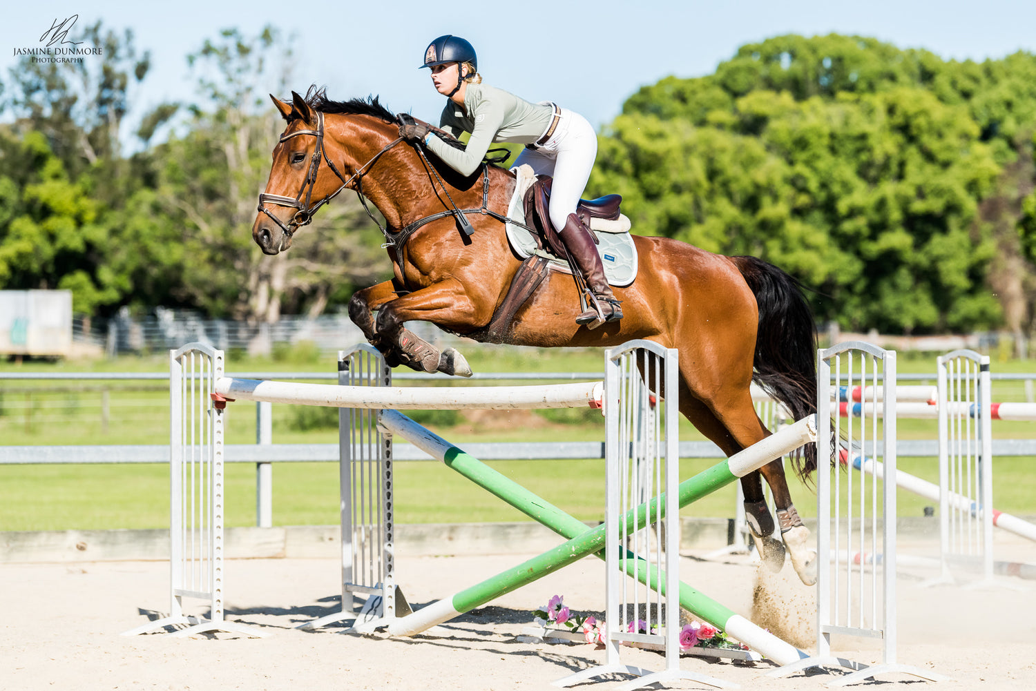 Sydnie Williams - Show Jumping – Precision Equine